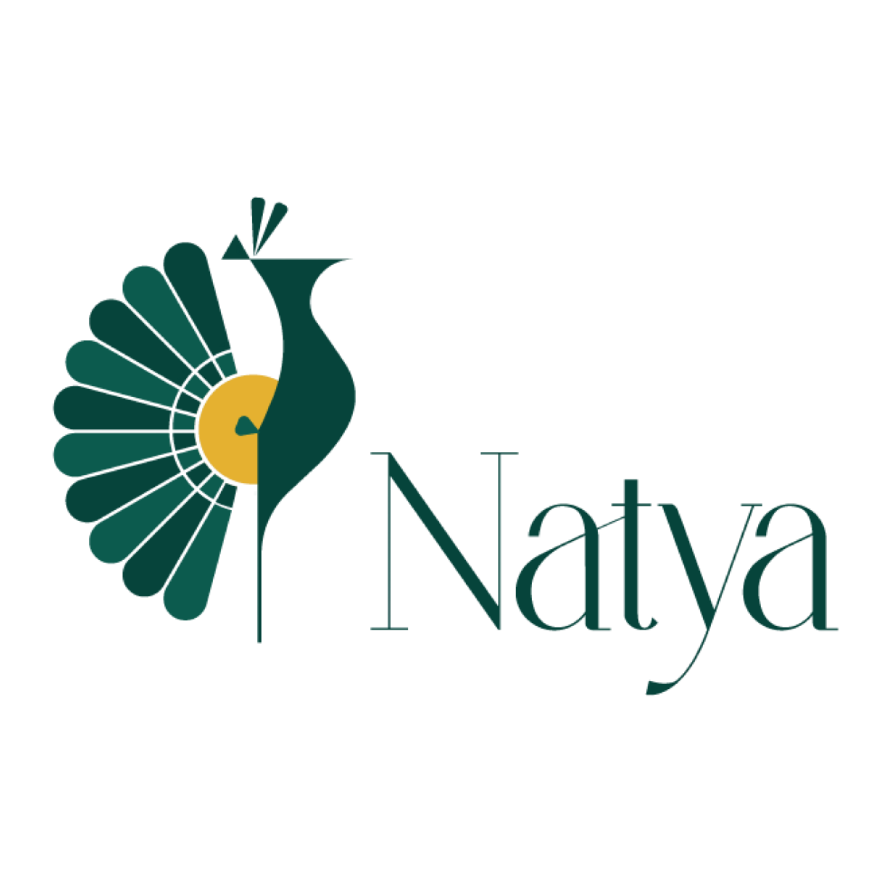 Size chart – Natya Shoes
